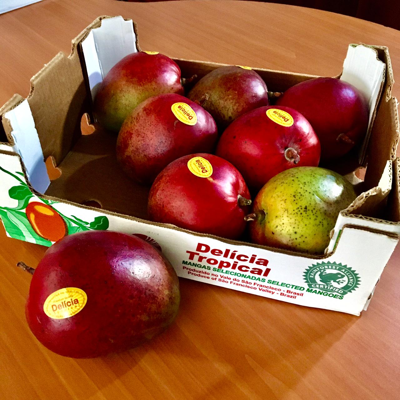 MANGO CAJA DE 5 KILOS | (8 a 12 Unidades) – COMERCIALIZADORA BEMSAM