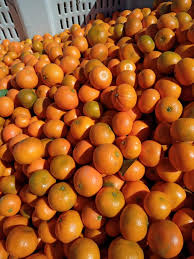 Bins de Mandarinas. Calibre Mixto. 400K – PALTAS ONLINE