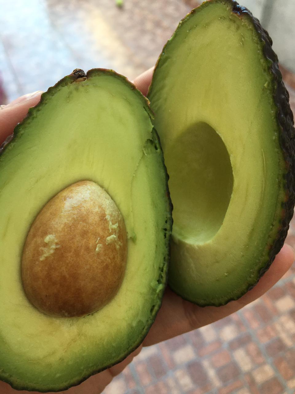 OFERTA 3 KG DE PALTA HASS CHILENA POR $10.000 – PALTAS ONLINE